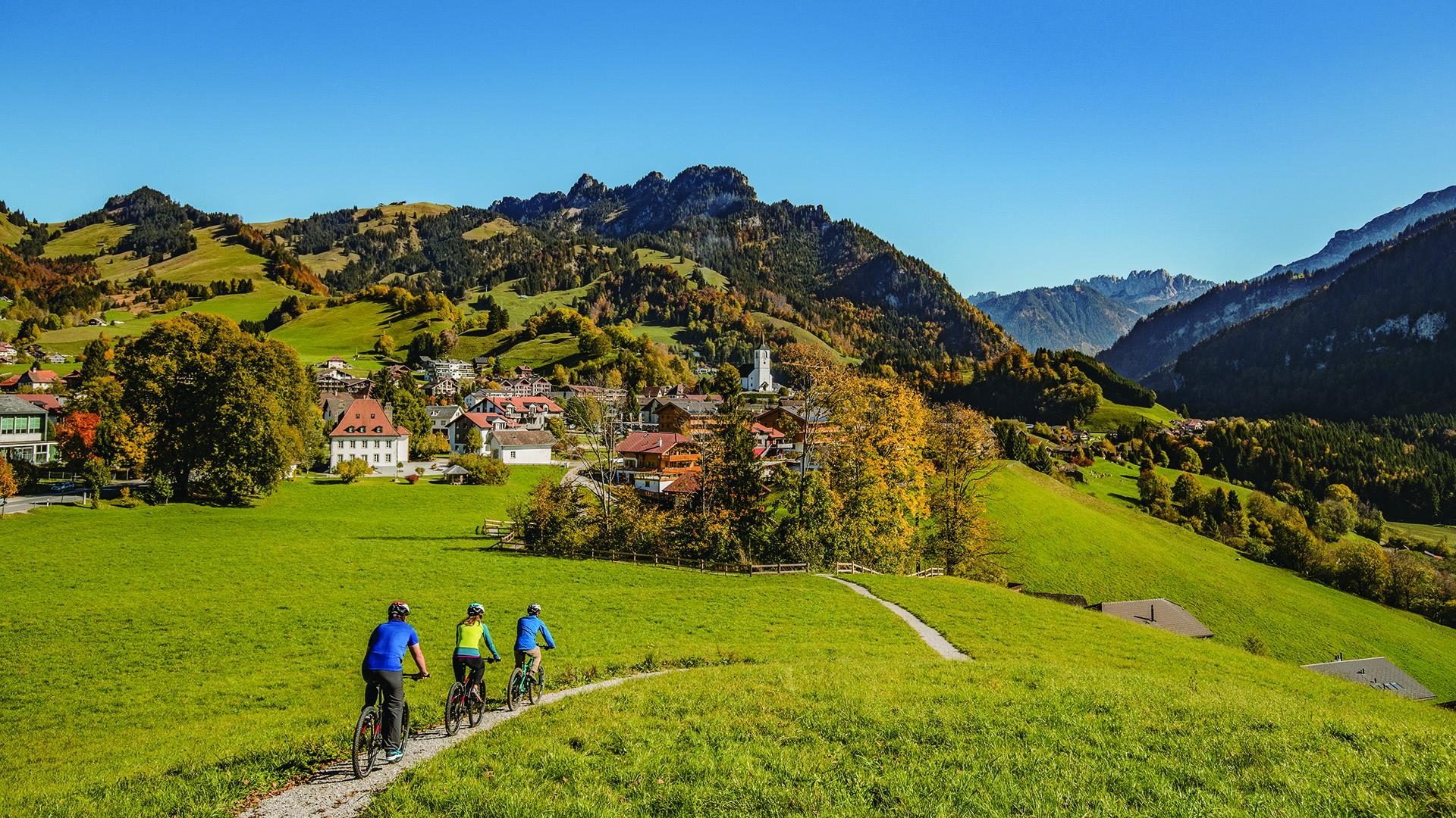 HM Bike - HM Bike Consulting GmbH, high-end mountain bike , DHM ...