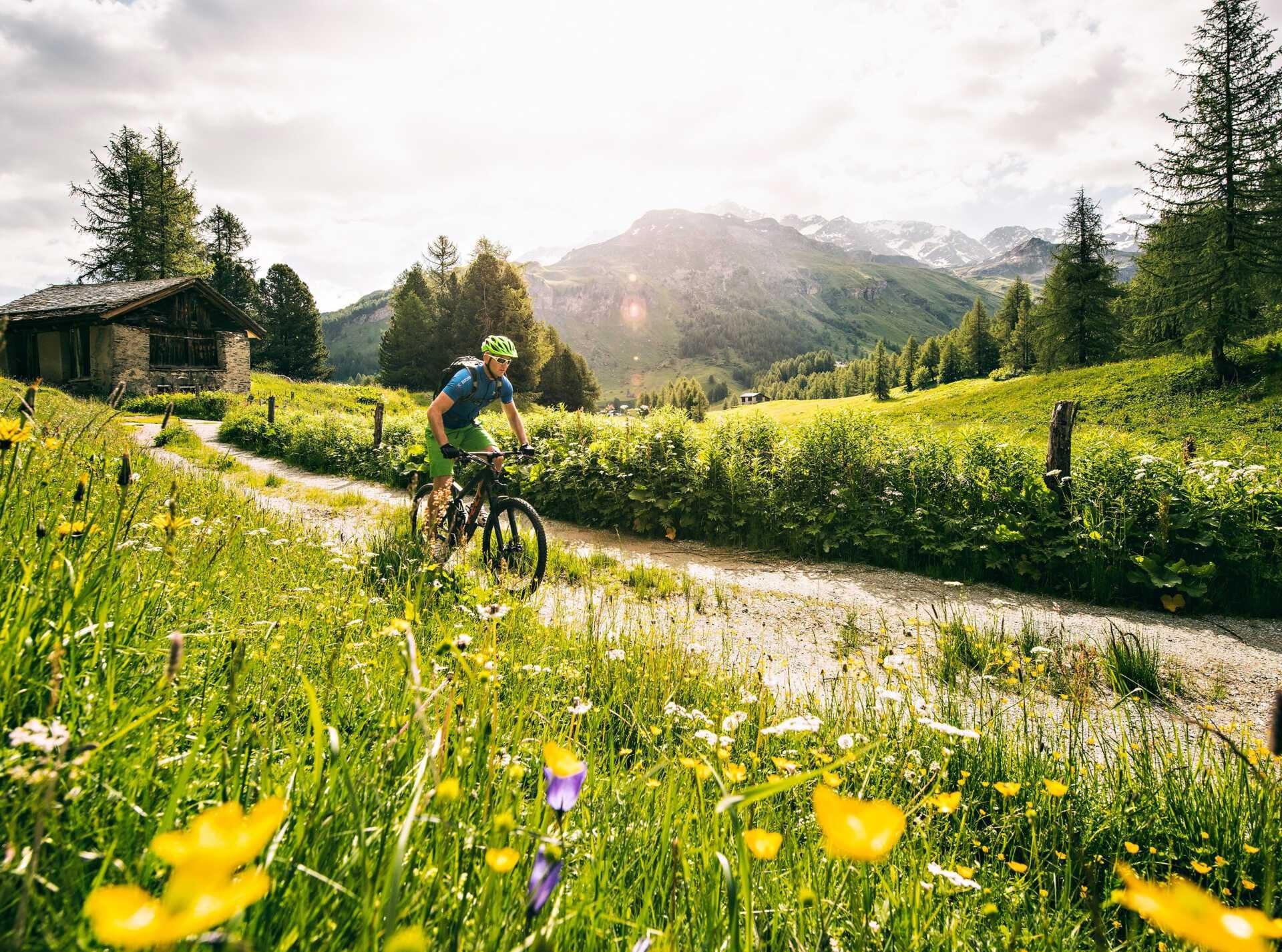 HM Bike - HM Bike Consulting GmbH, high-end mountain bike , DHM ...