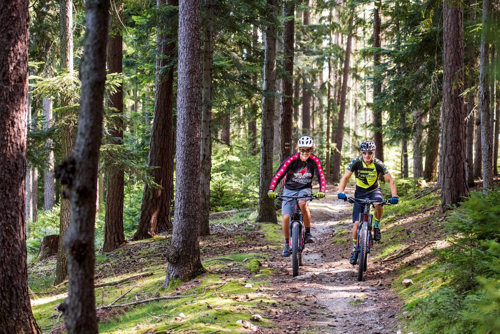 HM Bike - HM Bike Consulting GmbH, high-end mountain bike , DHM ...