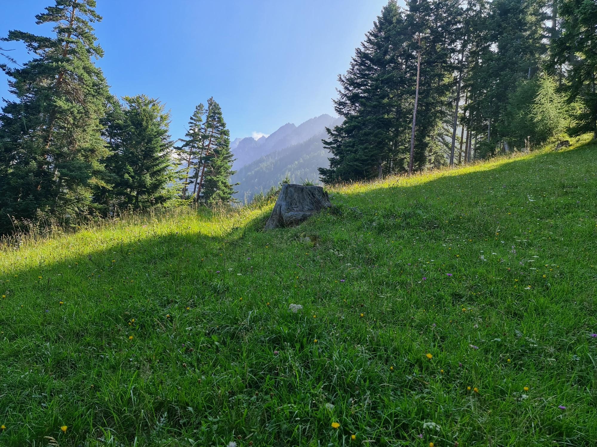 HM Bike - HM Bike Consulting GmbH, high-end mountain bike , DHM ...